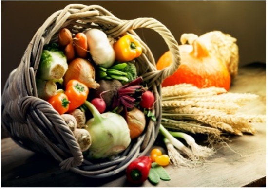 Harvest celebrations – Abbey United Reformed Church